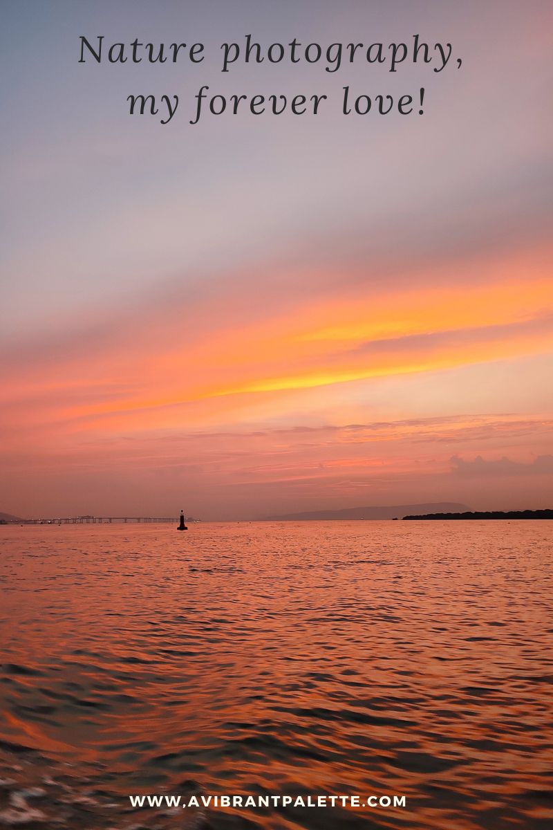 Nature photography, my forever love! - A Vibrant Palette